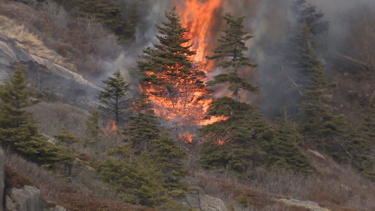 Fire crews in N.L. to get extra cash to offset costs fighting blazes ...