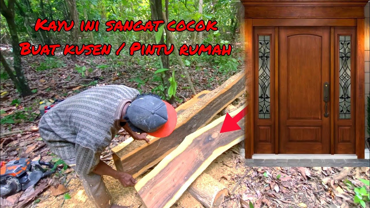 Kayu Bitti Tua, kayu andalan sulawesi || sangat rekomendasi membuat ...