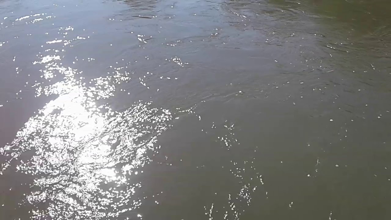 Tevzaoba arxze - YouTube