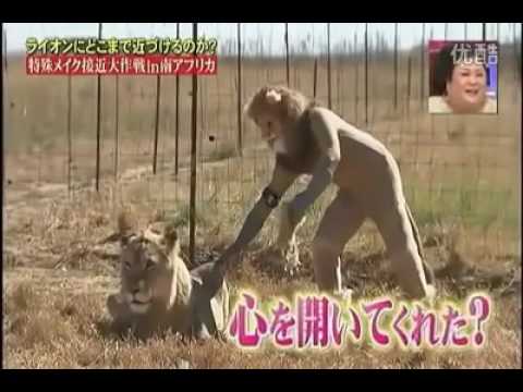 LION VS HUMAN - TV SHOW PROGRAM - YouTube