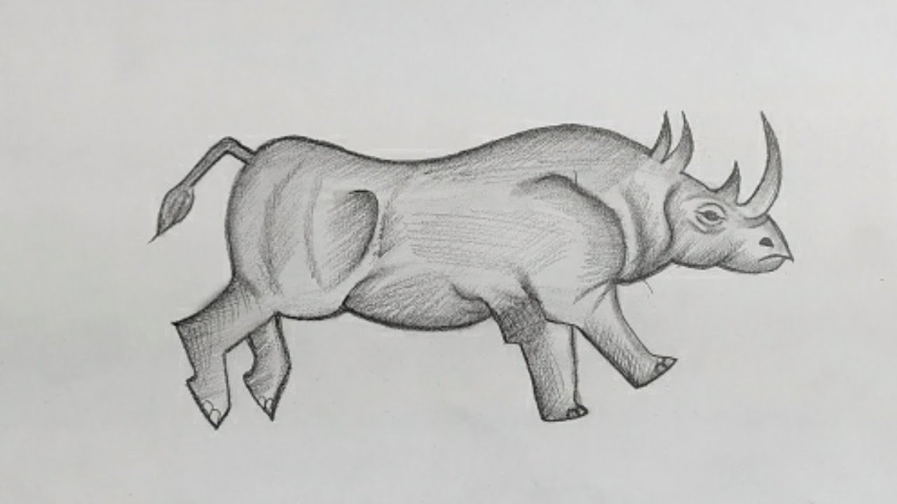 How To Draw A Rhino || Draw A Rhino Step By Step || Pencil Drawing Easy ...