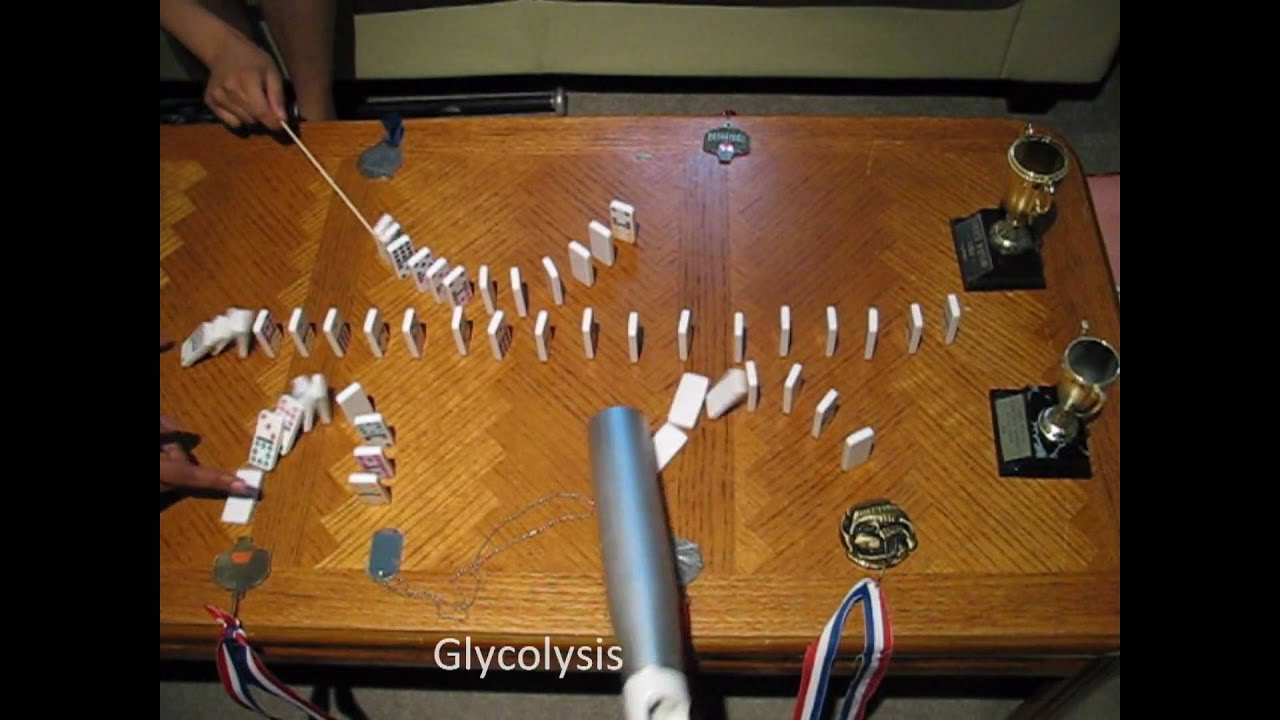 Path of an Oxygen Molecule - YouTube