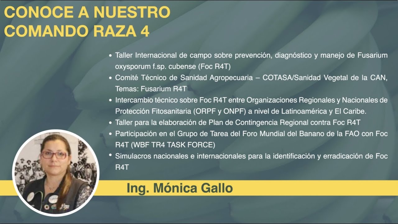Comando Raza 4 - Monica Gallo - YouTube