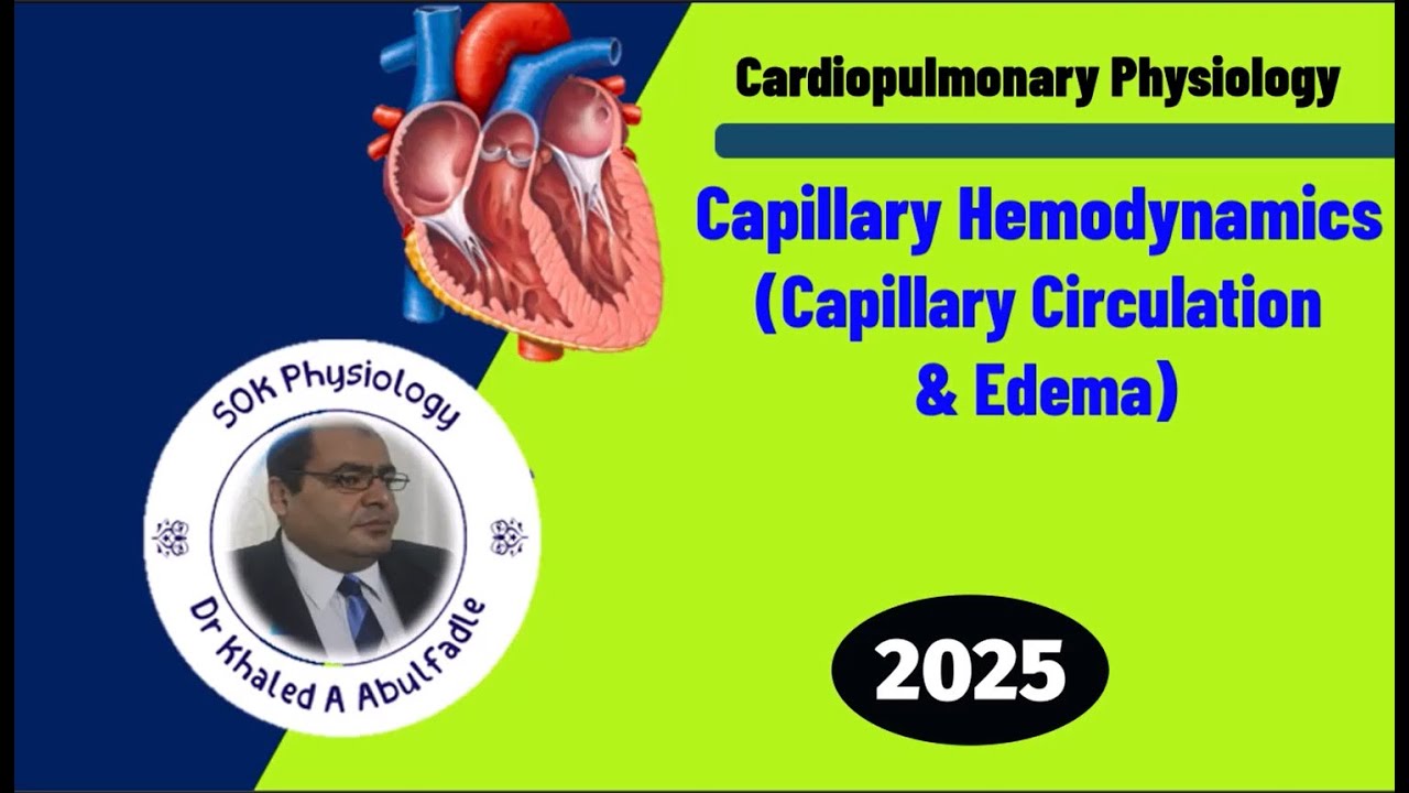 Capillary Hemodynamics (Capillary Circulation & Edema) (3-2025) by Dr ...