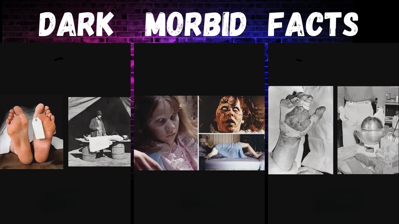 Morbid Facts You Won't Believe Are True pt.116 | Creepy Tiktok Videos ...
