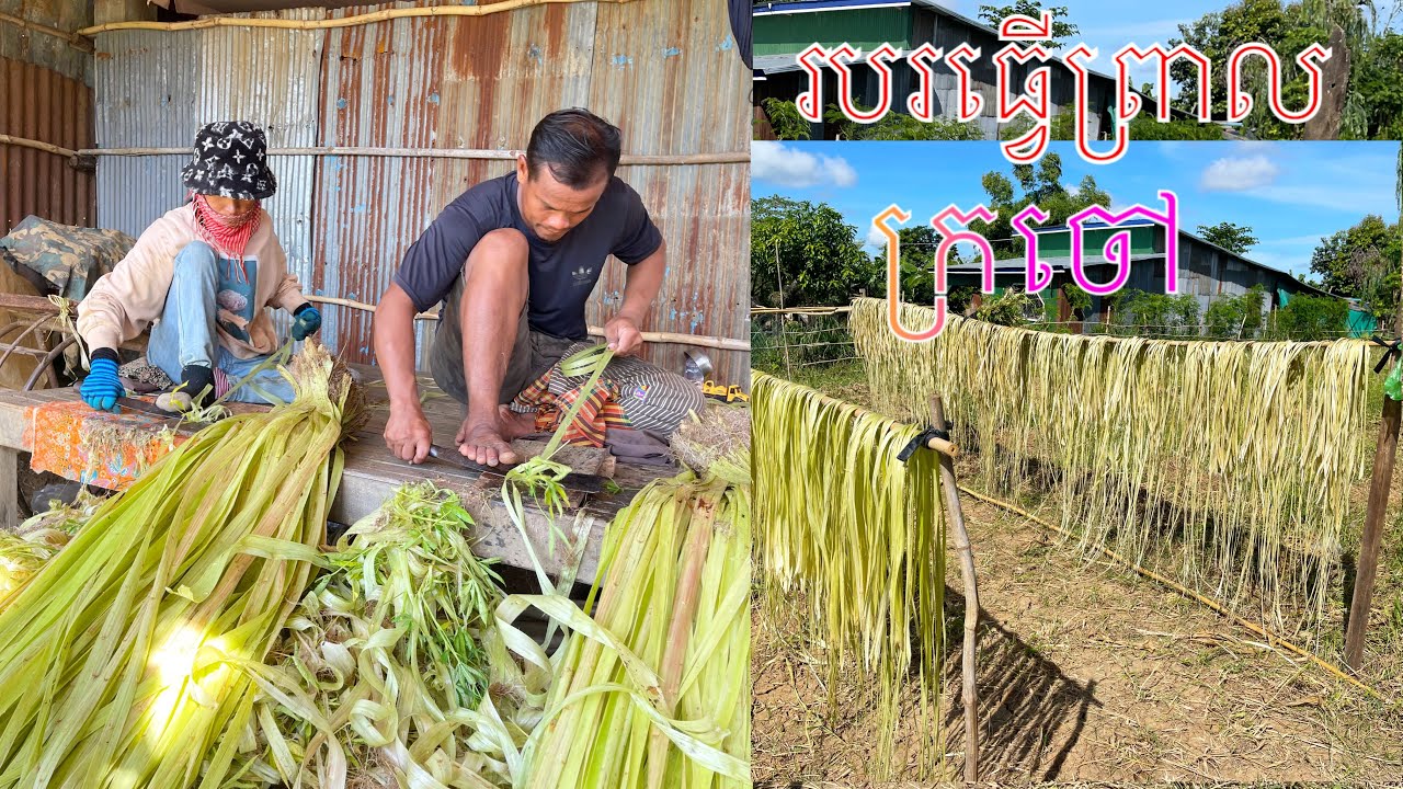 មុខរបរធ្វើខ្សែរព្រាលក្រចៅ របស់អ្នកភូមិបាក់រទេះ-Bakrotes Villagers Make ...
