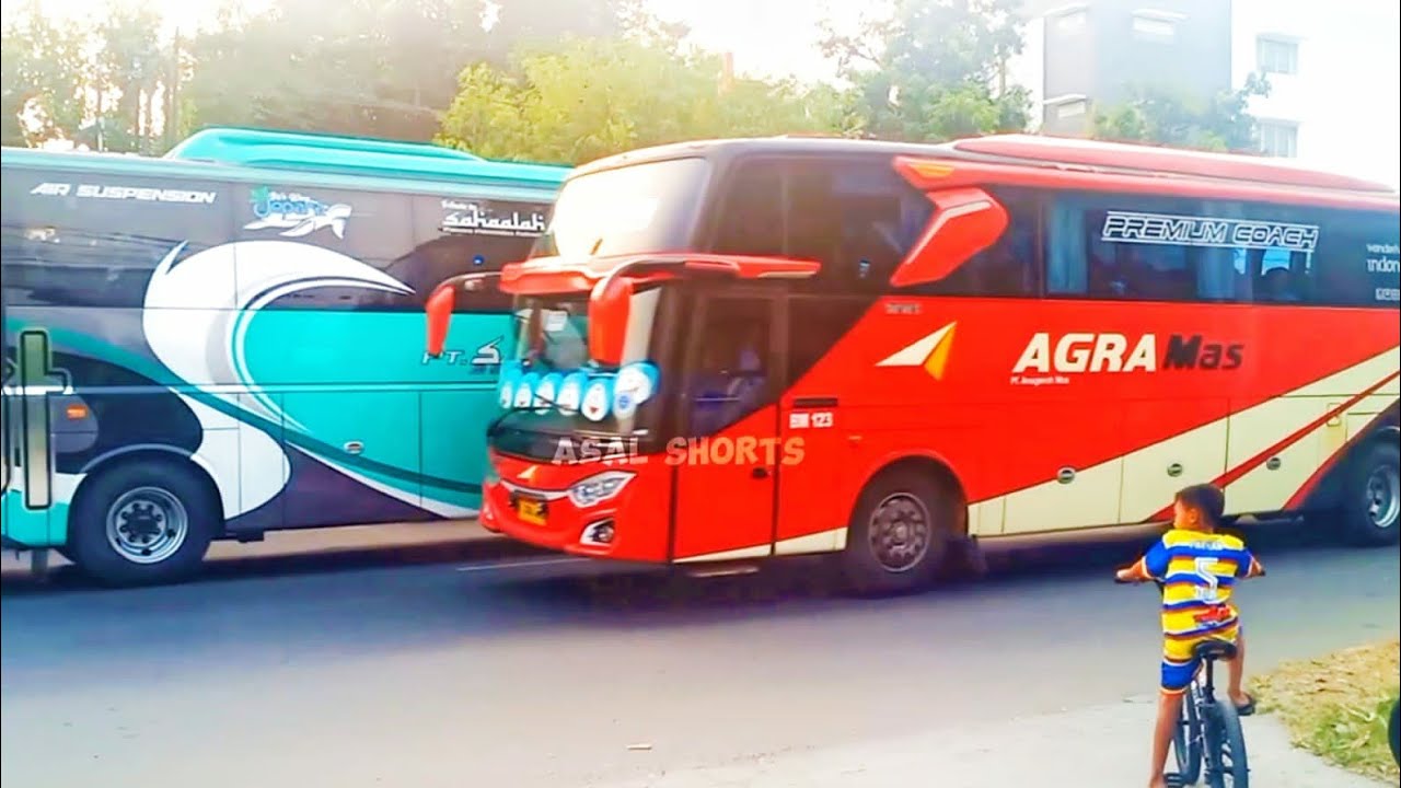 RAMAI BUS TELOLET SERU !! MOBIL AVANZA GA MAU KALAH PAKE BASURI - YouTube