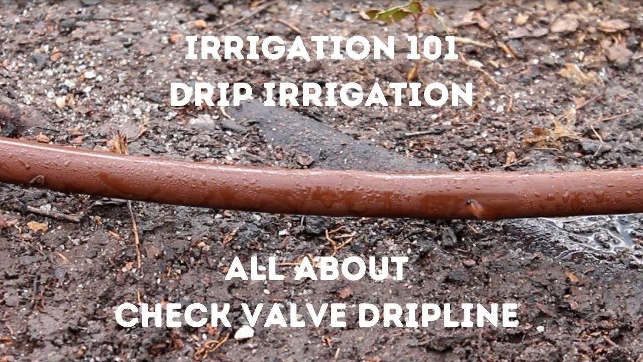 All About Dripline with Check Valves || Drip Irrigation (Irrigation ...