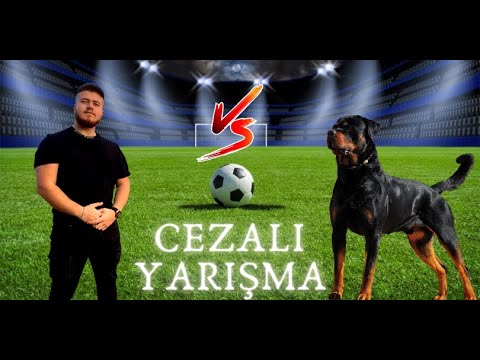 Rottweiler MARLA'YA GOL ATAMAYAN CEZAYI ÇEKER! - YARIŞMA ⚽️