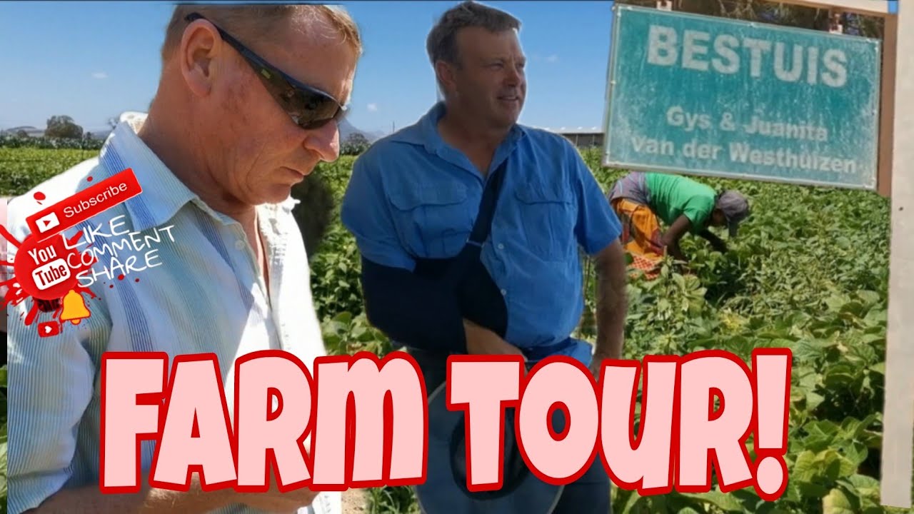 Bestuis Farm - Klapmuts || South Africa - YouTube