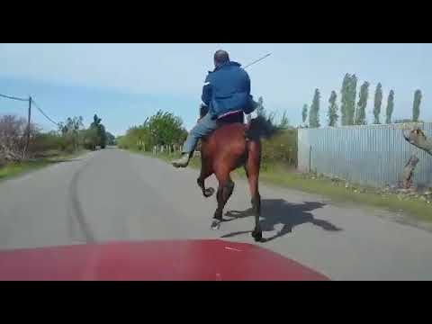 Ter-Ter Elesgerli Kendi  Yorga At
