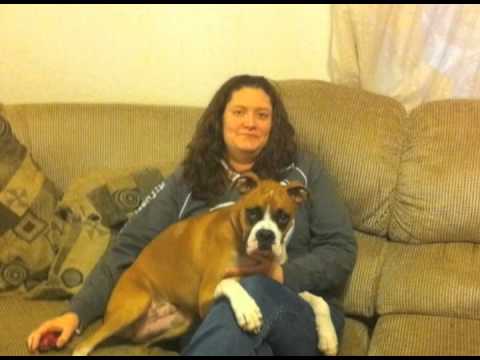 2013 Hero with a Heart Award/St. Louis: Dr Marc Moon - YouTube