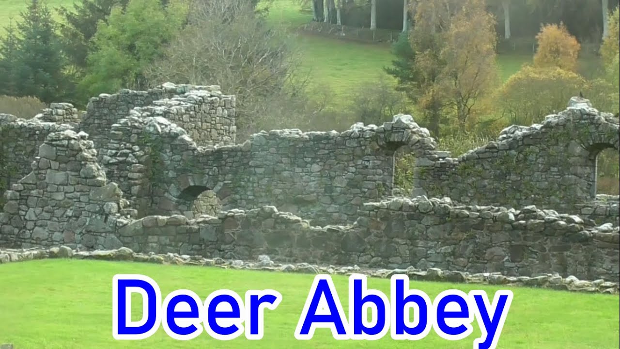 Deer Abbey//Discovering - YouTube