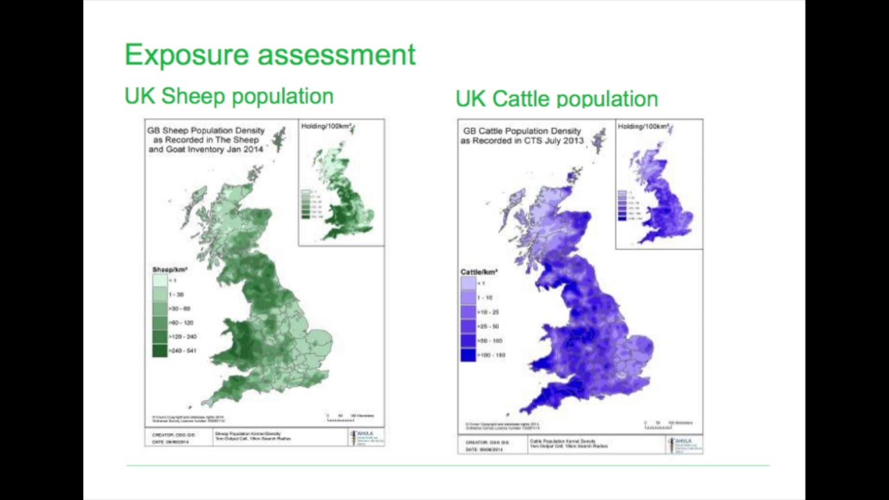 Bluetongue disease - Part 1 UK risk assessment 2016 - YouTube