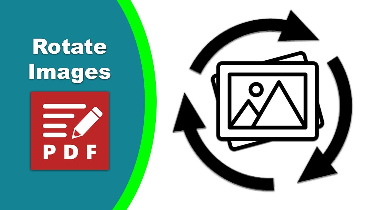 How to Adjust and Rotate Images in PDF Files in PDF XChange Editor ...