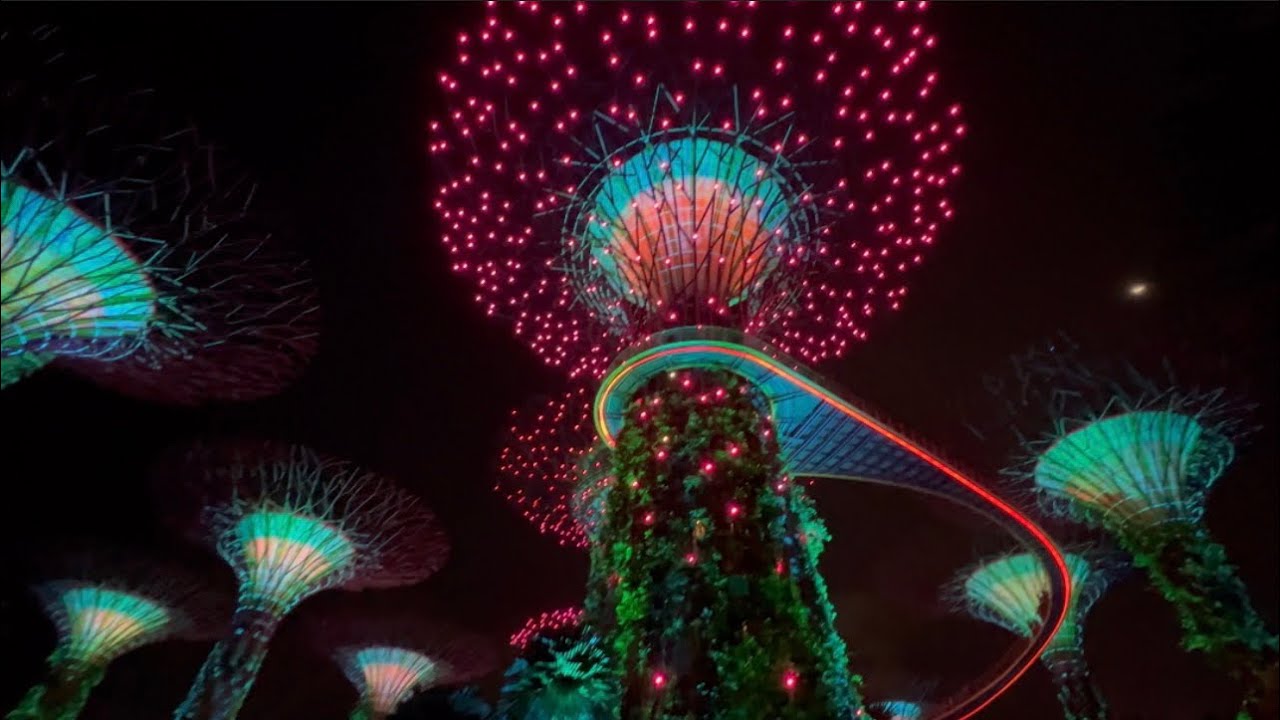 Supertrees: Amazing light and musical show at night at the Supertree ...