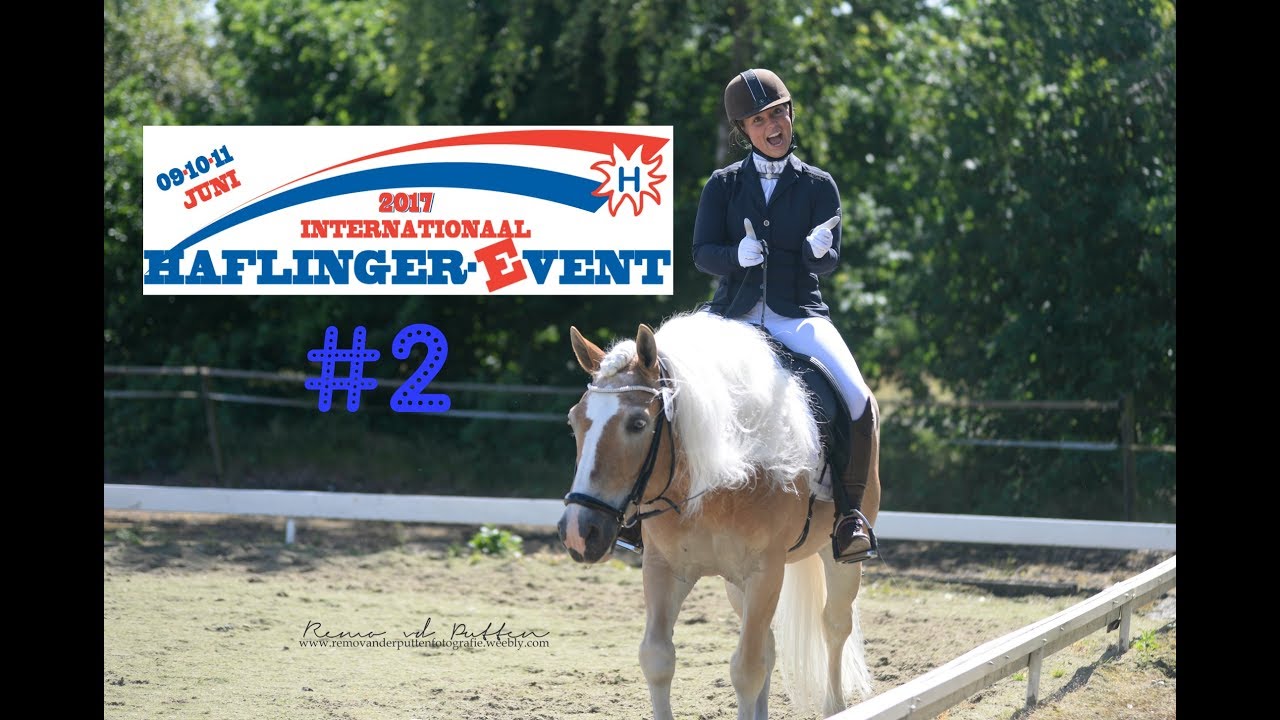 WE HEBBEN VEEL TE VEEL (ROZE) SPULLEN MEE | Haflinger Event 2017 #2 ...