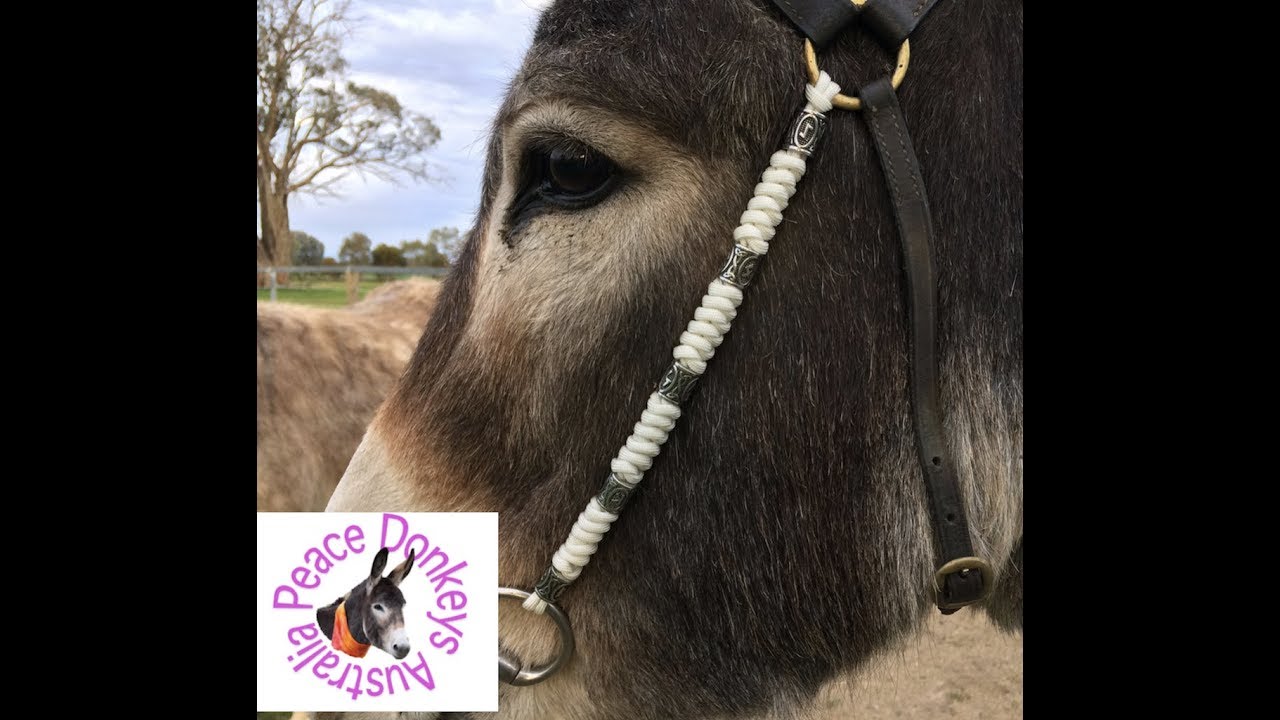 Beaded paracord cheek piece for a bridle (easy project )with snake knot ...