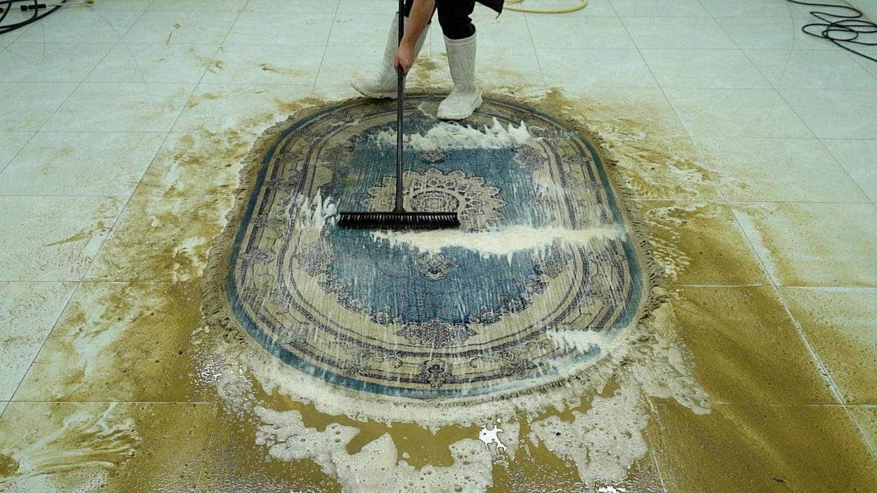 LET'S WATCH A FRESHLY CLEANED CARPET IN A NEW STYLE TOGETHER - YouTube