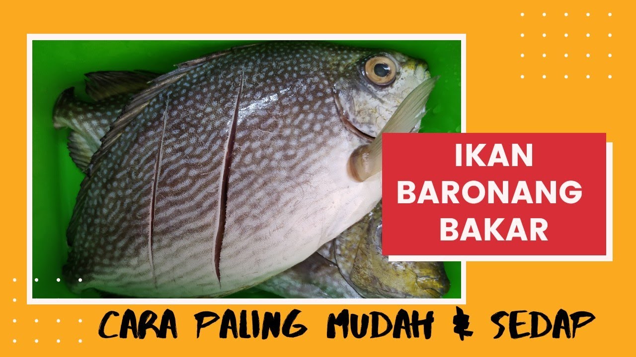 BAKAR IKAN BARONANG/BELAIS PALING MUDAH DAN SEDAP | ADABI - YouTube