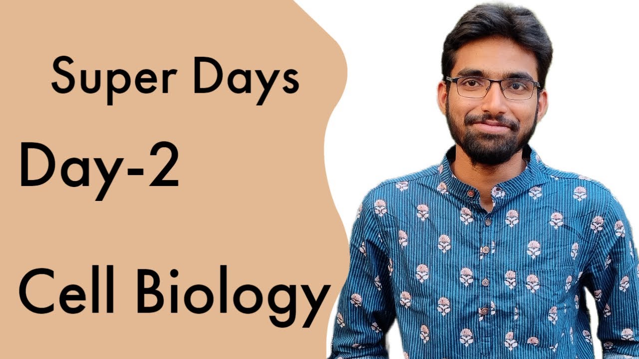 Super 8 Days; Day-2 - YouTube