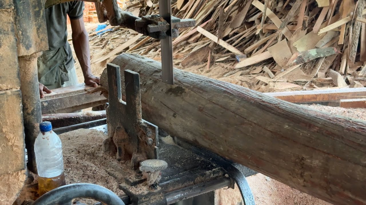 Beyond Hunger, the Spirit of Work Sawing Wood Non-Stop! - YouTube