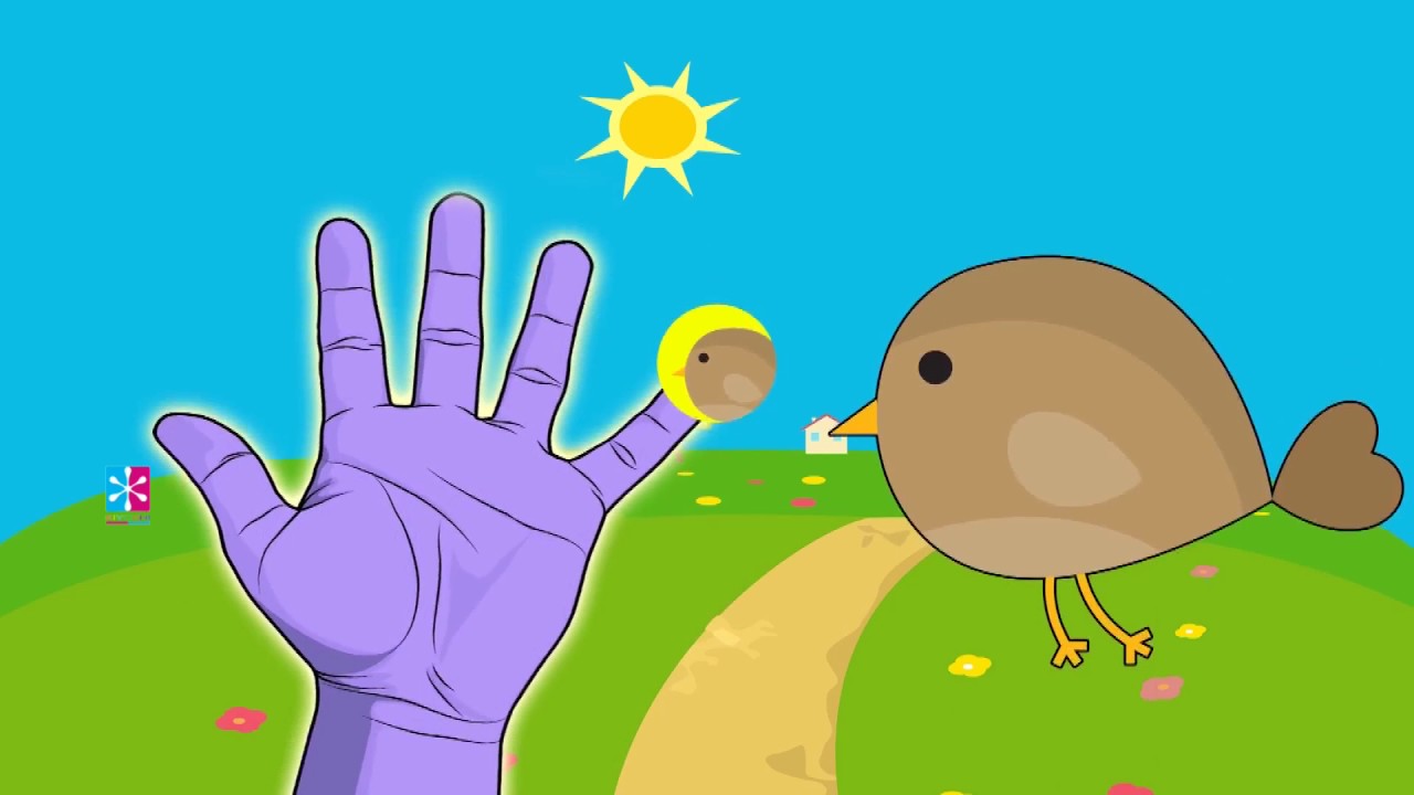 Sparrow | Finger Family Song | TV Nursery Rhymes For Children ( SPANISH ...