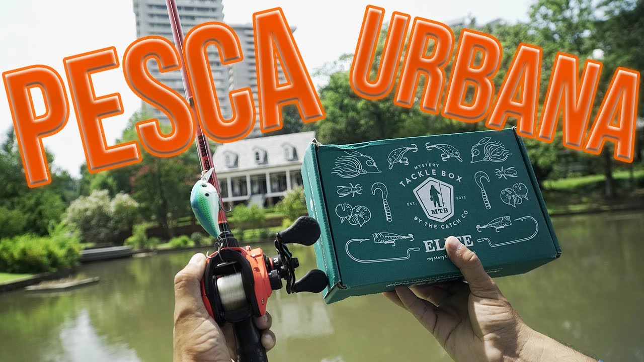 Pesca Urbana Por Primera Vez | Reto De MTB - YouTube