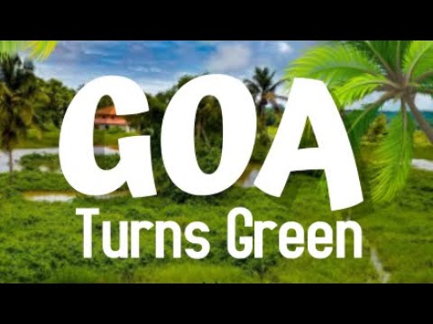 GOA TURNS GREEN - Goa by Edu's World - YouTube