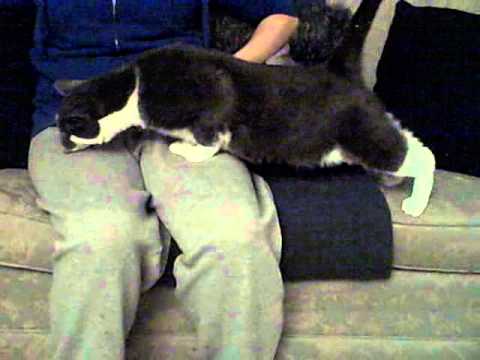 Temptations Commercial - YouTube