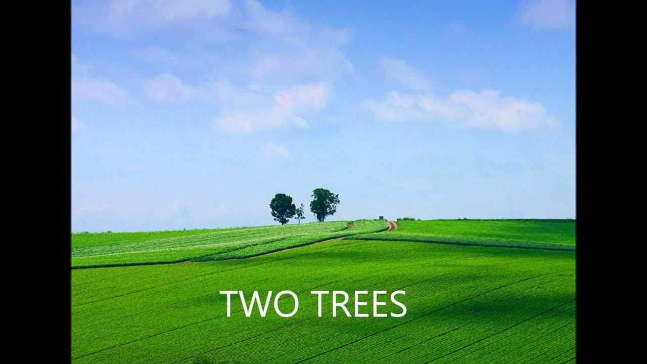 Two Trees - Ann Reed - YouTube