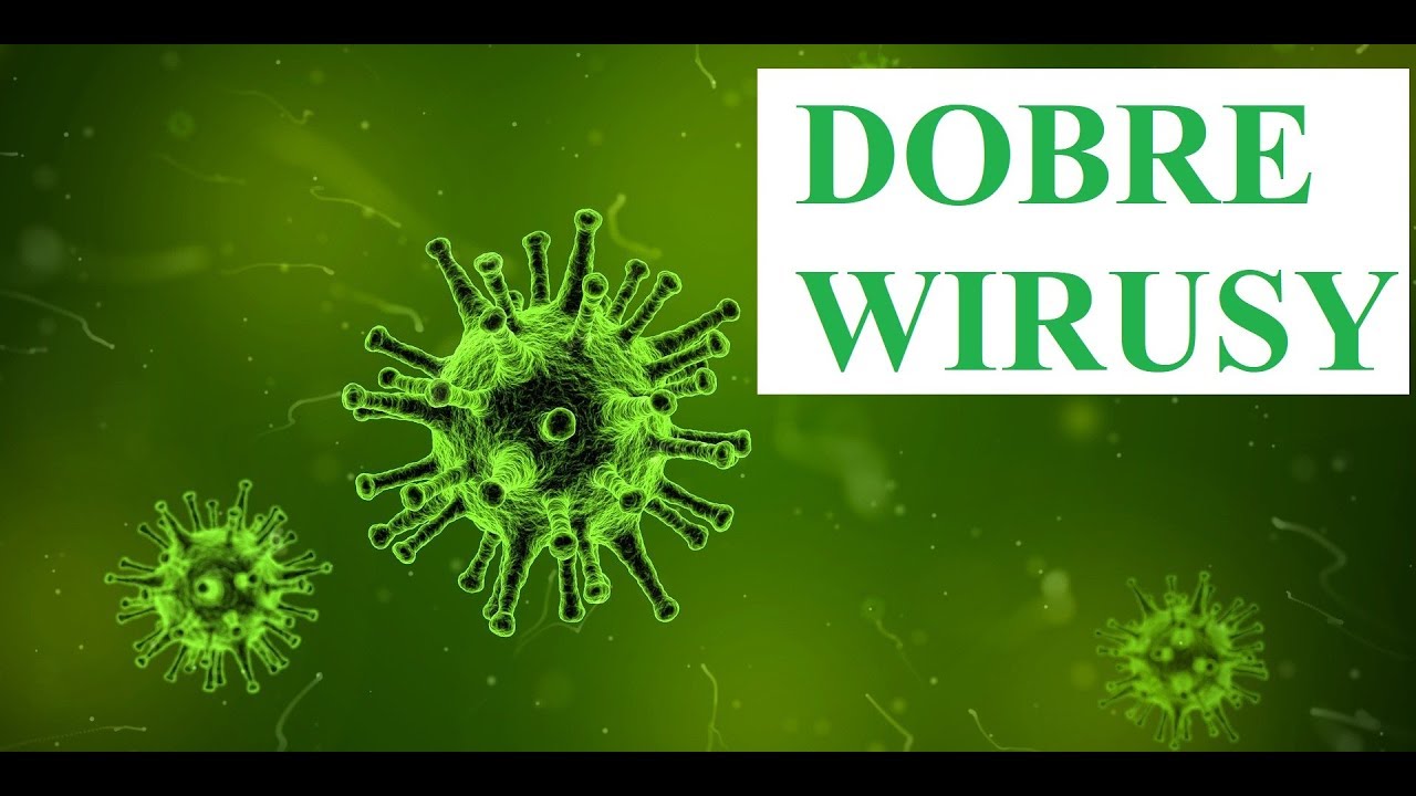 DOBRE WIRUSY - bakteriofagi - YouTube