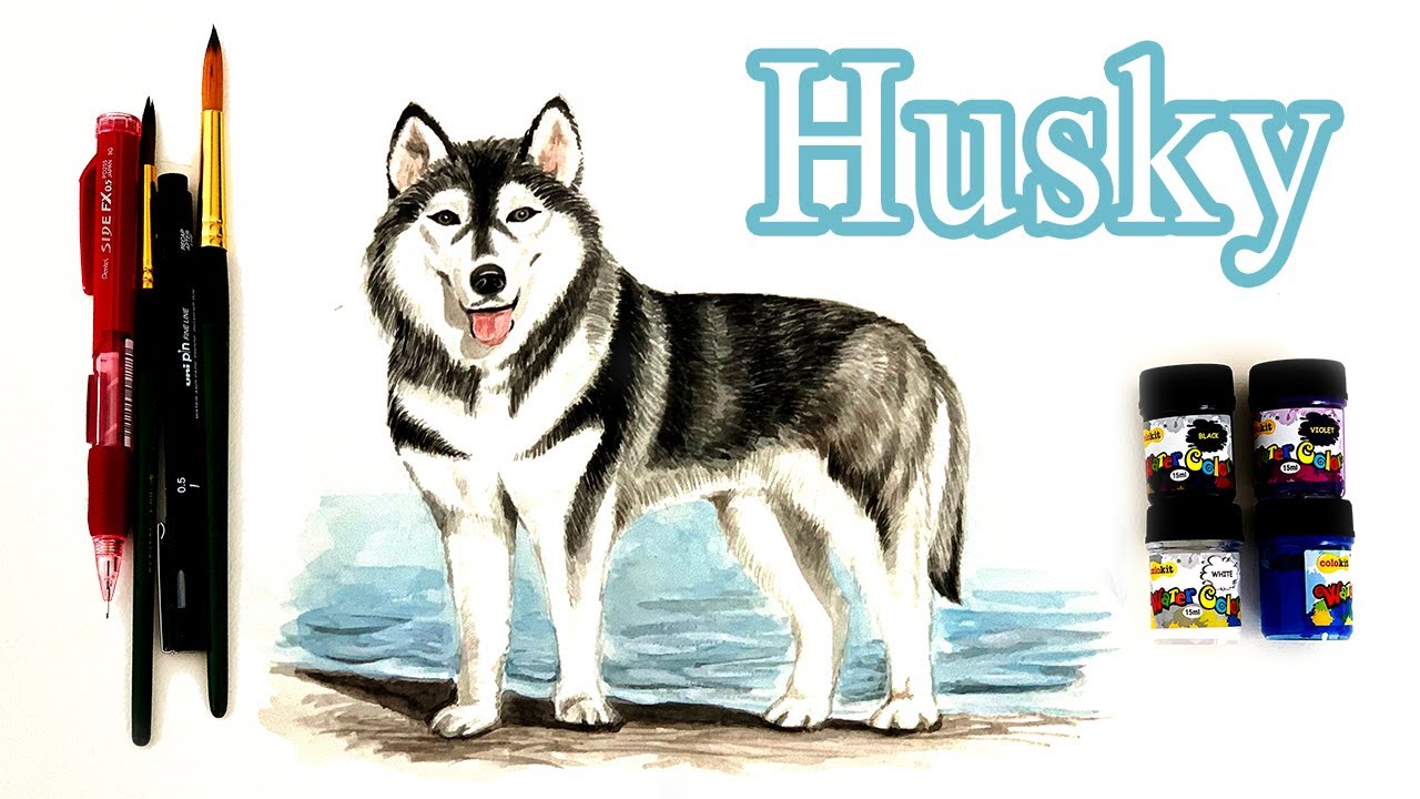 How To Draw A Husky - Cartoon Drawing - YouTube