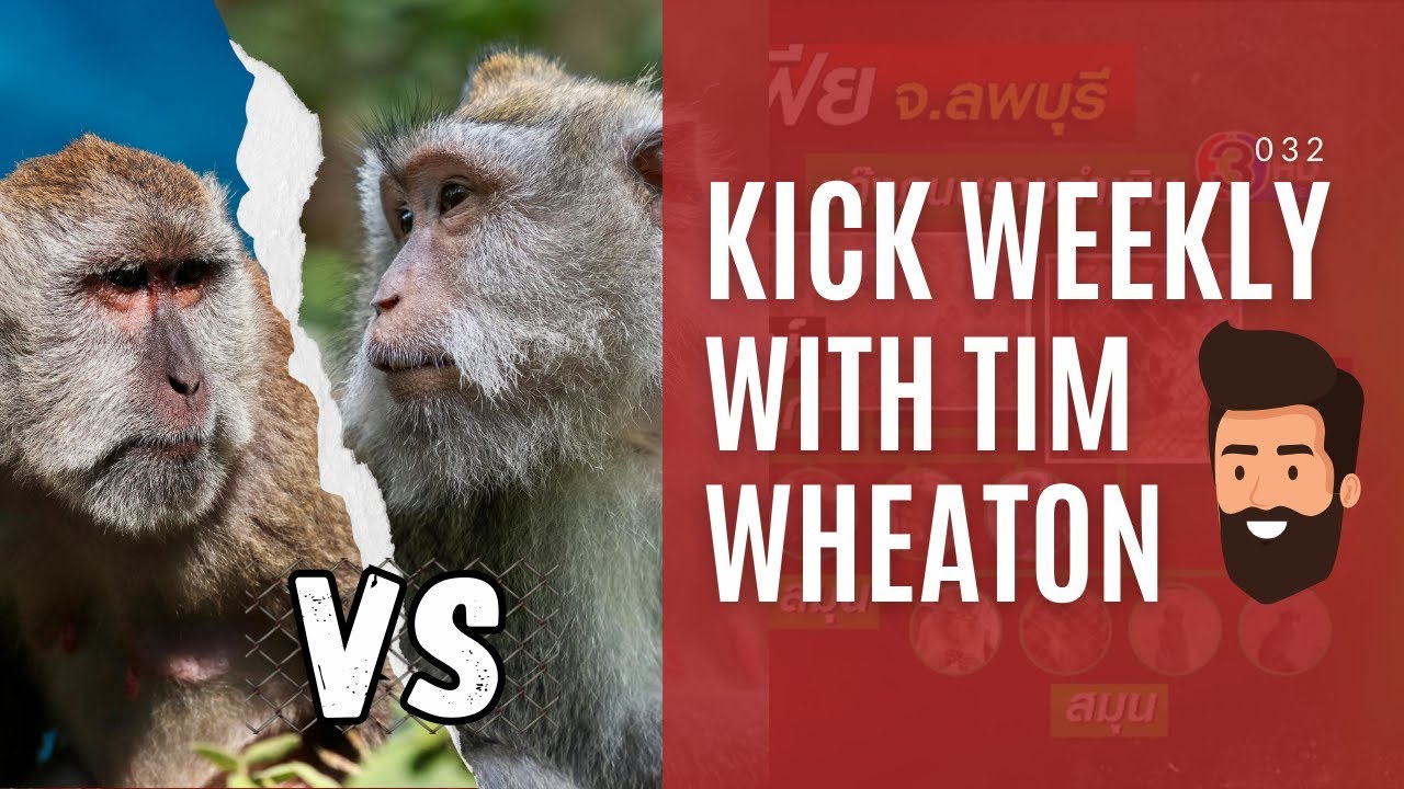 Kick Weekly 32 - Monkey Gang Wars in Lopburi [Kickboxing Podcast] - YouTube