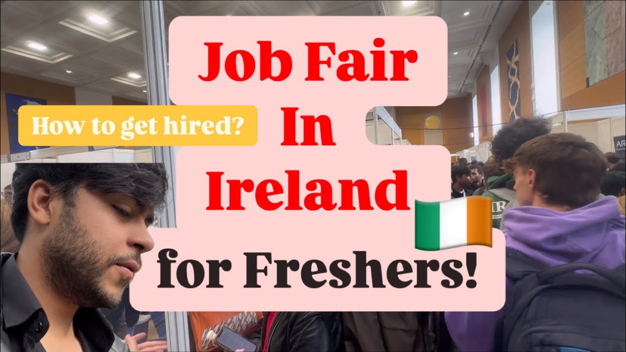 Jobs in Ireland for FRESHERS in 2024 | Ireland job market | Jobs in ...