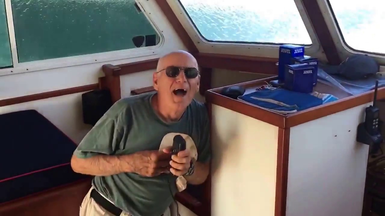 Wilbur 38 - YouTube