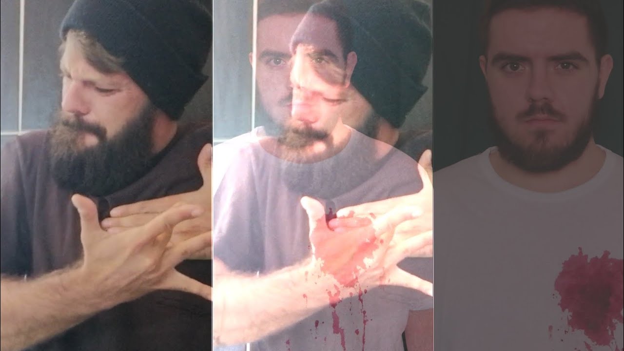 Le chant du signe #2 : Bloodstain - Wrabel (LSF cover - Charly et ...