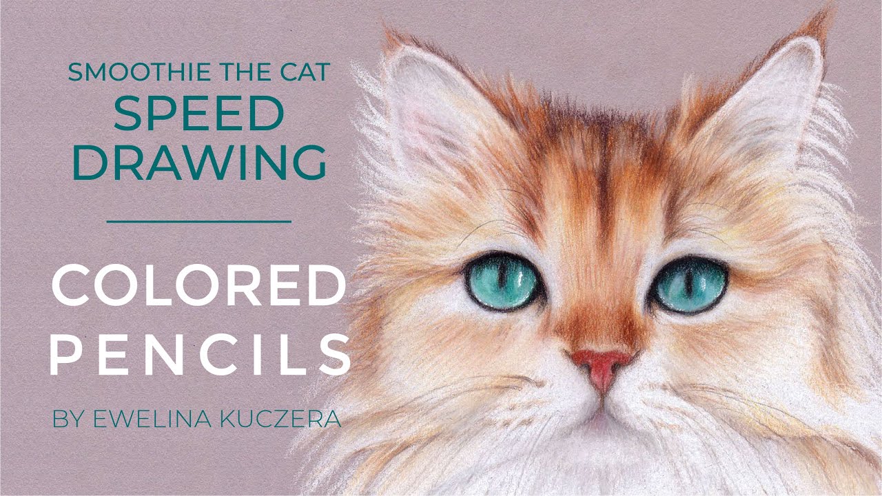 #01 Smoothie The Cat Speed Drawing - YouTube