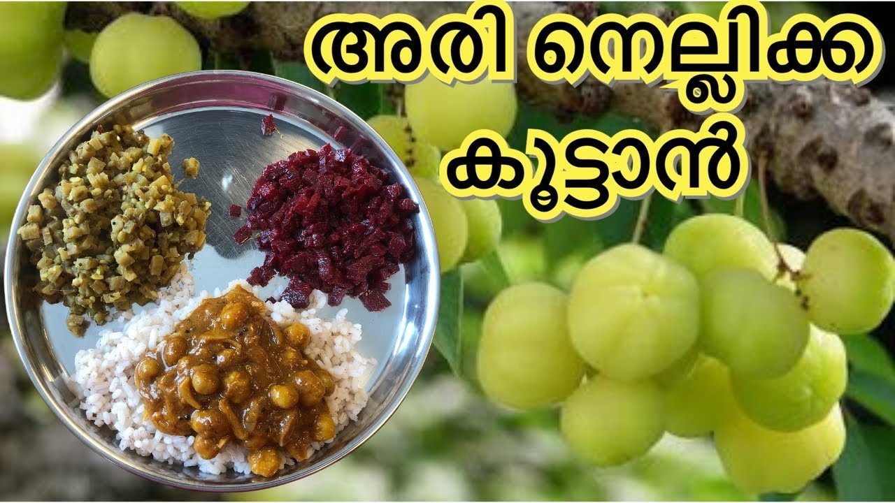 അരി നെല്ലിക്ക കൂട്ടാൻ // Ari NELLIKKA kootan // Star Gooseberry Curry ...