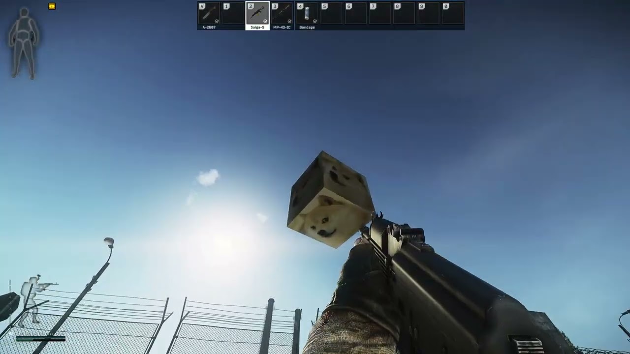 Doge cube on customs - YouTube