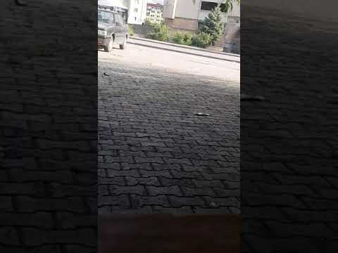 Veysel mutlu vay anam vay