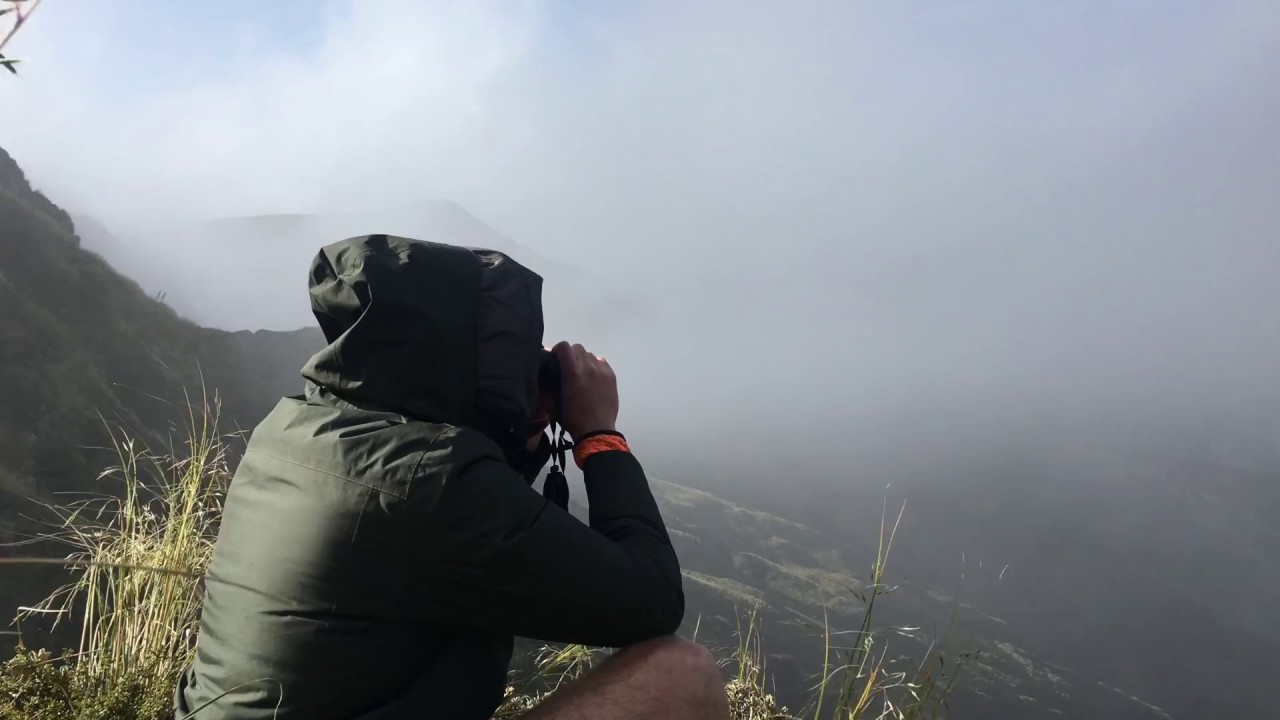 Hunting Red Deer (Film 2) | Ruahine Ranges, New Zealand - YouTube