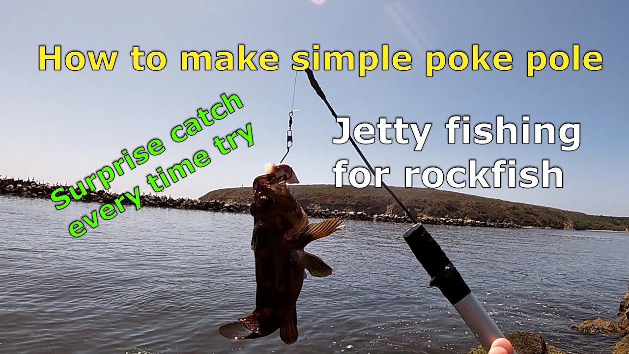 How to make poke pole simple and easy to catch varies species of rock ...