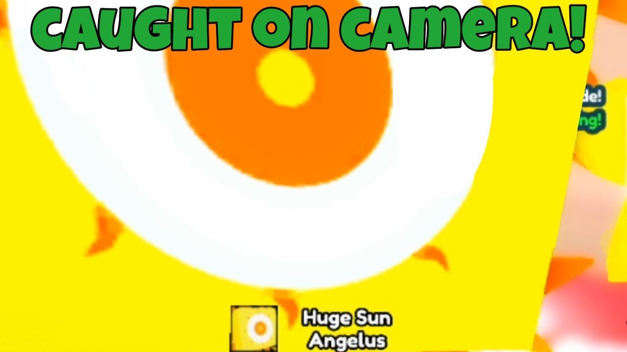 Hatching FIRST HUGE Sun Angelus ON CAMERA In Pet Simulator X! - YouTube