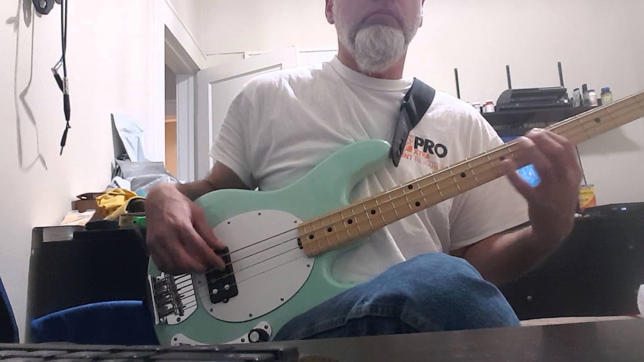 Bass cover Steely Dan Hey Nineteen - YouTube