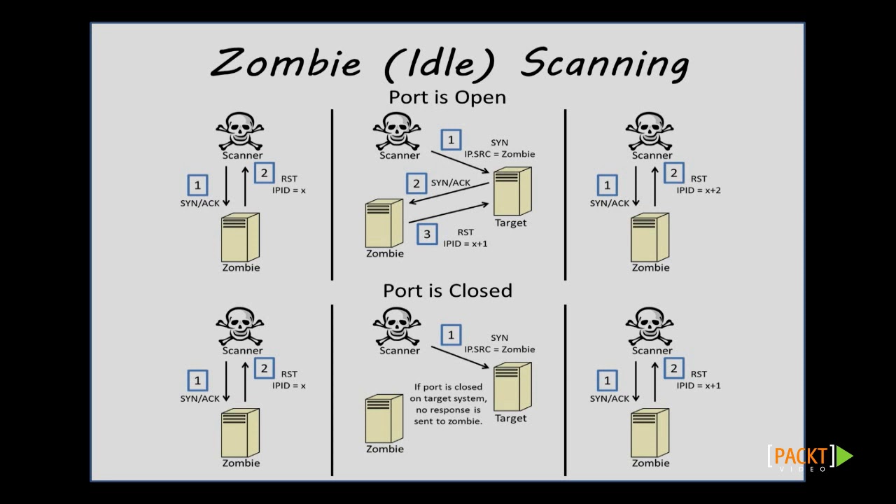 00019 Zombie_Scanning | Pirate Tutorials - YouTube