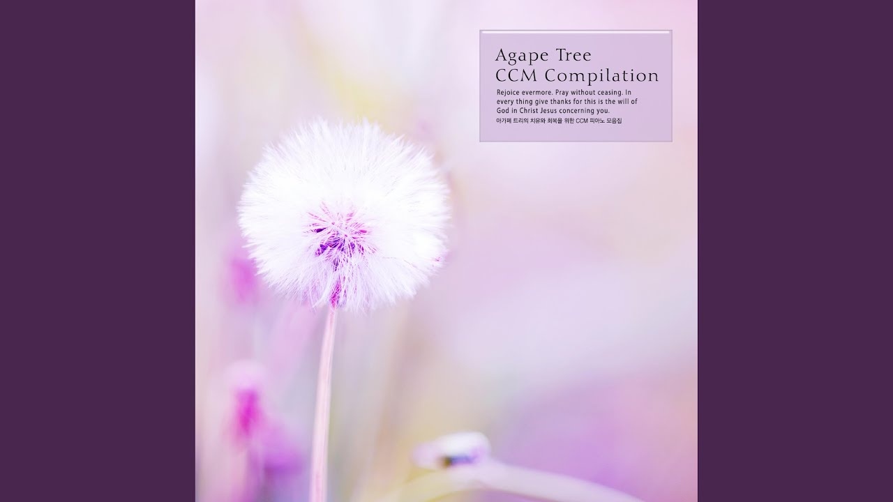 I commit everything. - YouTube