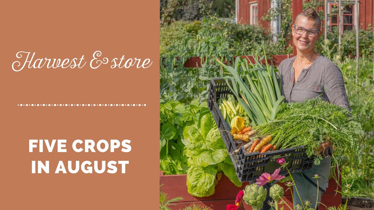 Harvest and store five crops - YouTube