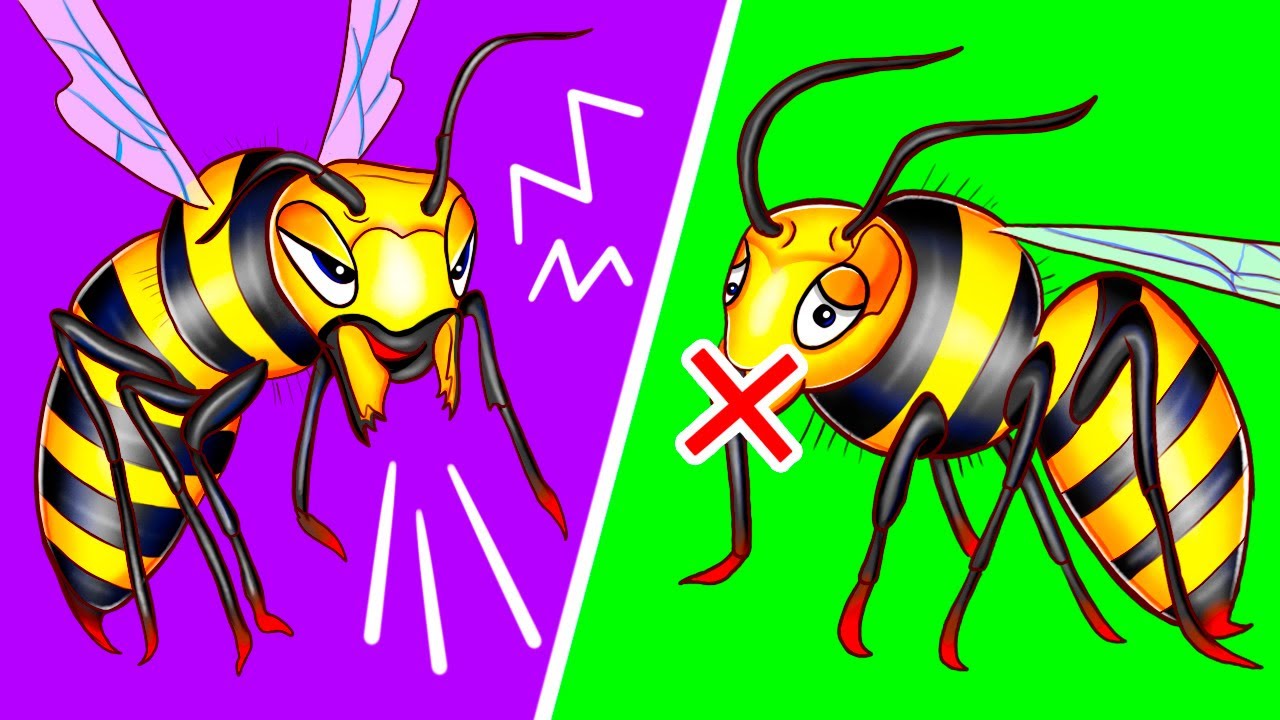 He aquí el porqué algunas abejas zumban y otras no - YouTube