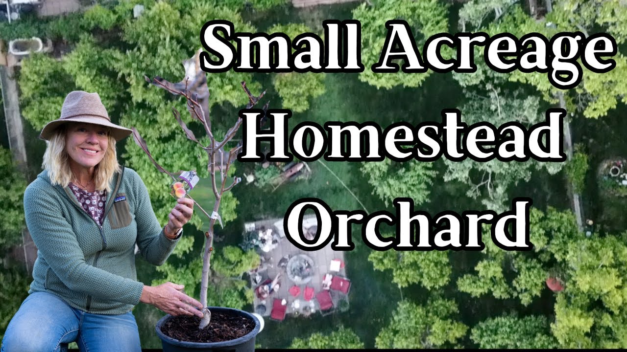 48 Fruit Trees on 1/2 Acre Homestead Orchard Layout, PlantingTips - YouTube